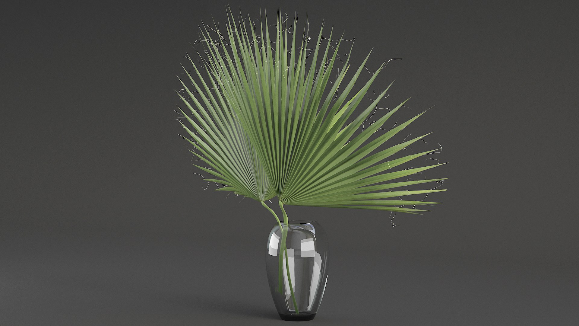 Palm Leaves 3D Model - TurboSquid 1631370