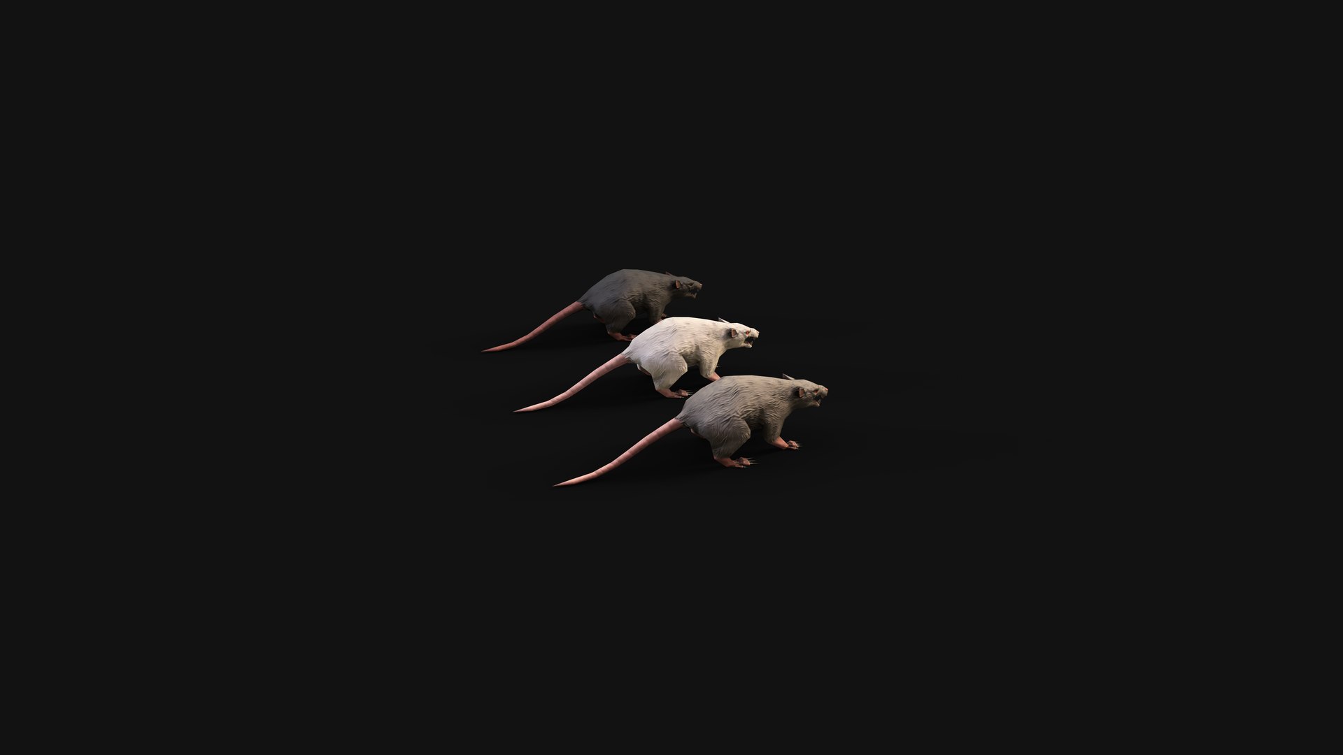 3D Mobile Rat model - TurboSquid 2075572