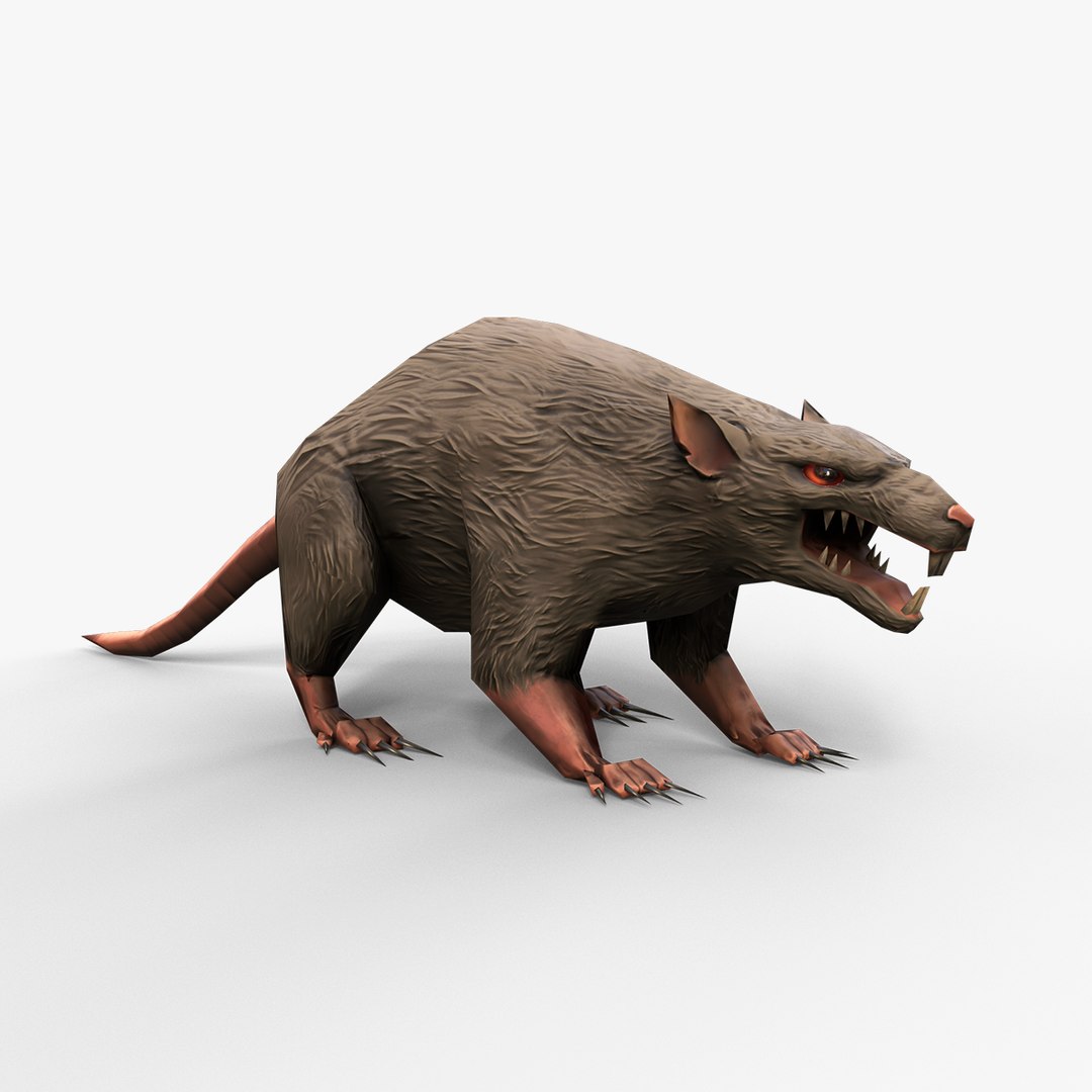 3D Mobile Rat model - TurboSquid 2075572