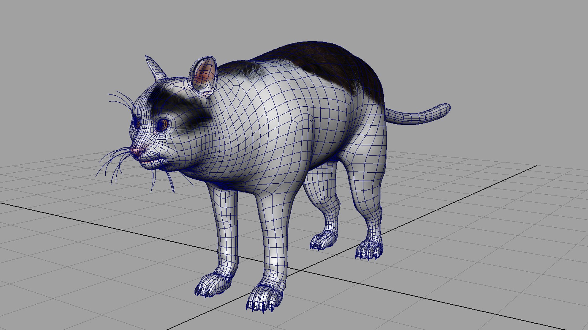 Cat Meme 3D Model - TurboSquid 1627563