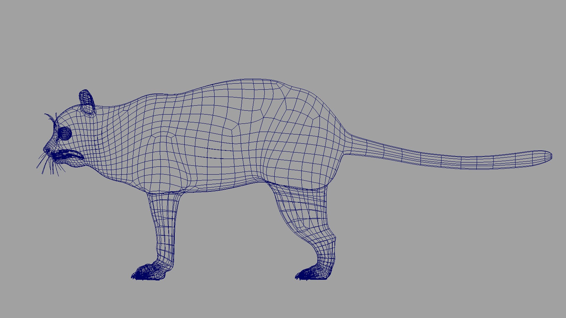 Cat Meme 3D Model - TurboSquid 1627563