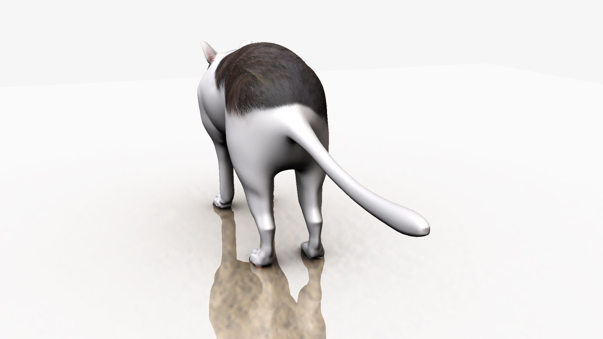 Cat Meme 3D Model - TurboSquid 1627563