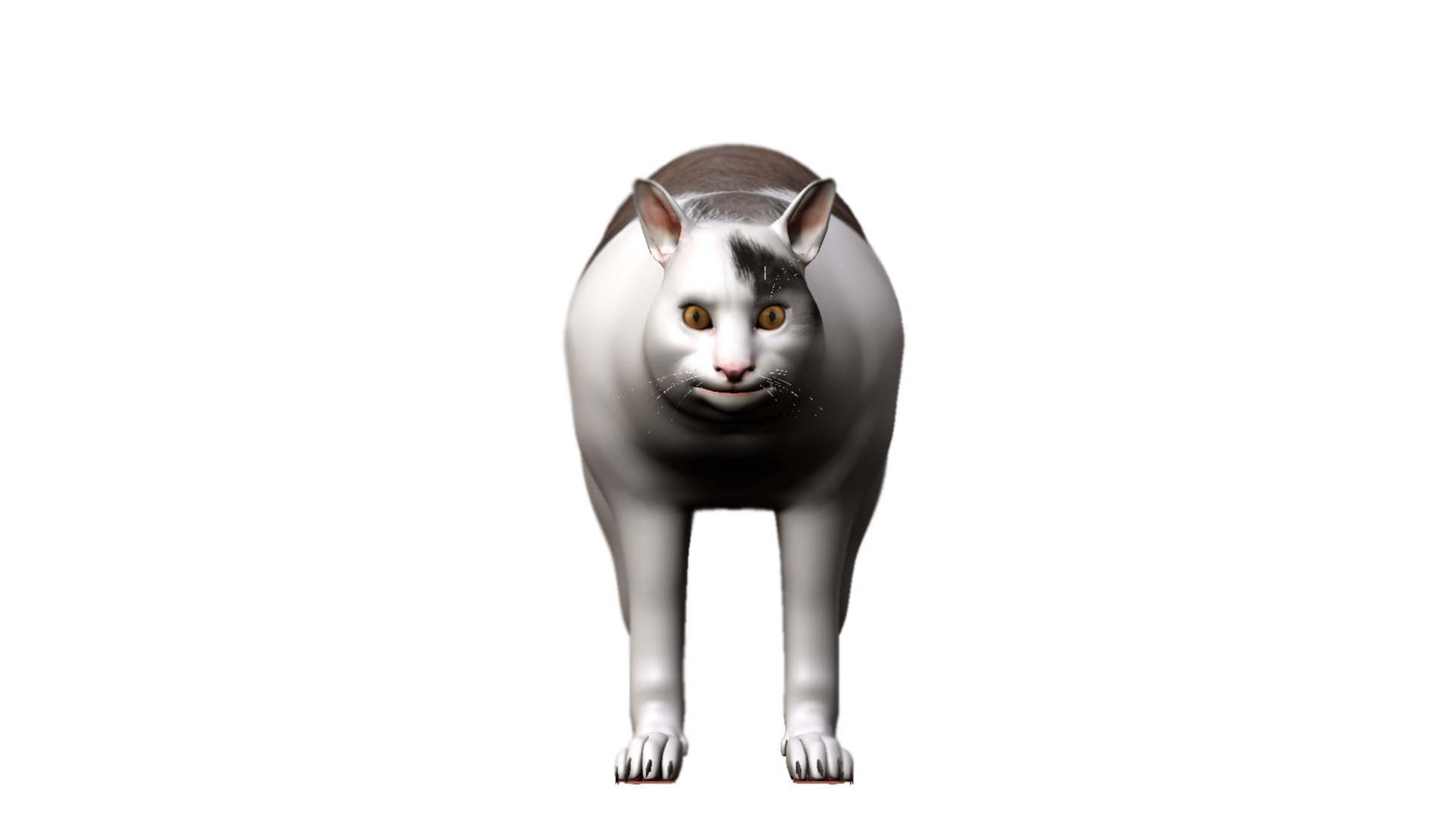 Cat Meme 3D Model - TurboSquid 1627563