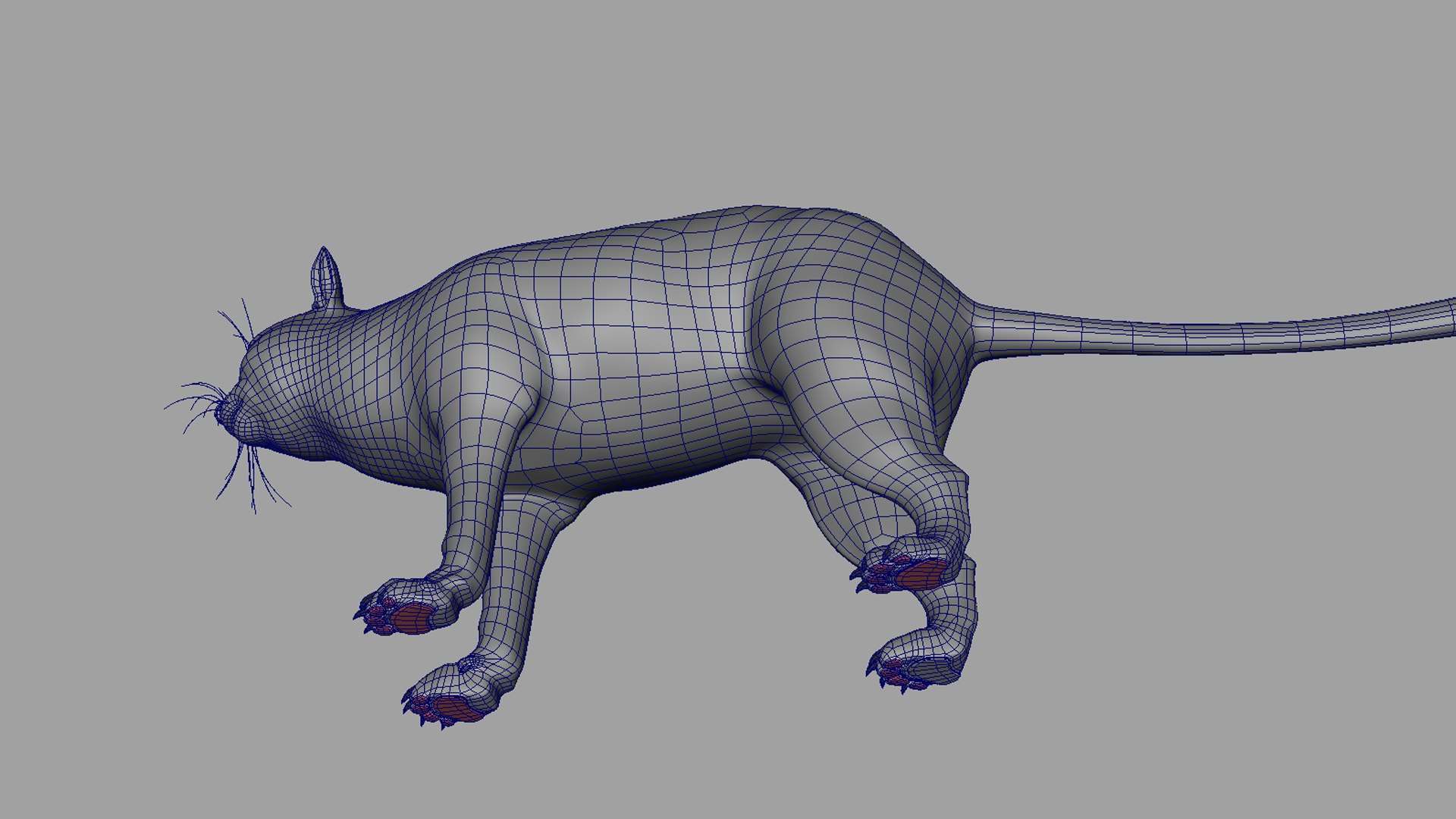 Cat Meme 3D Model - TurboSquid 1627563