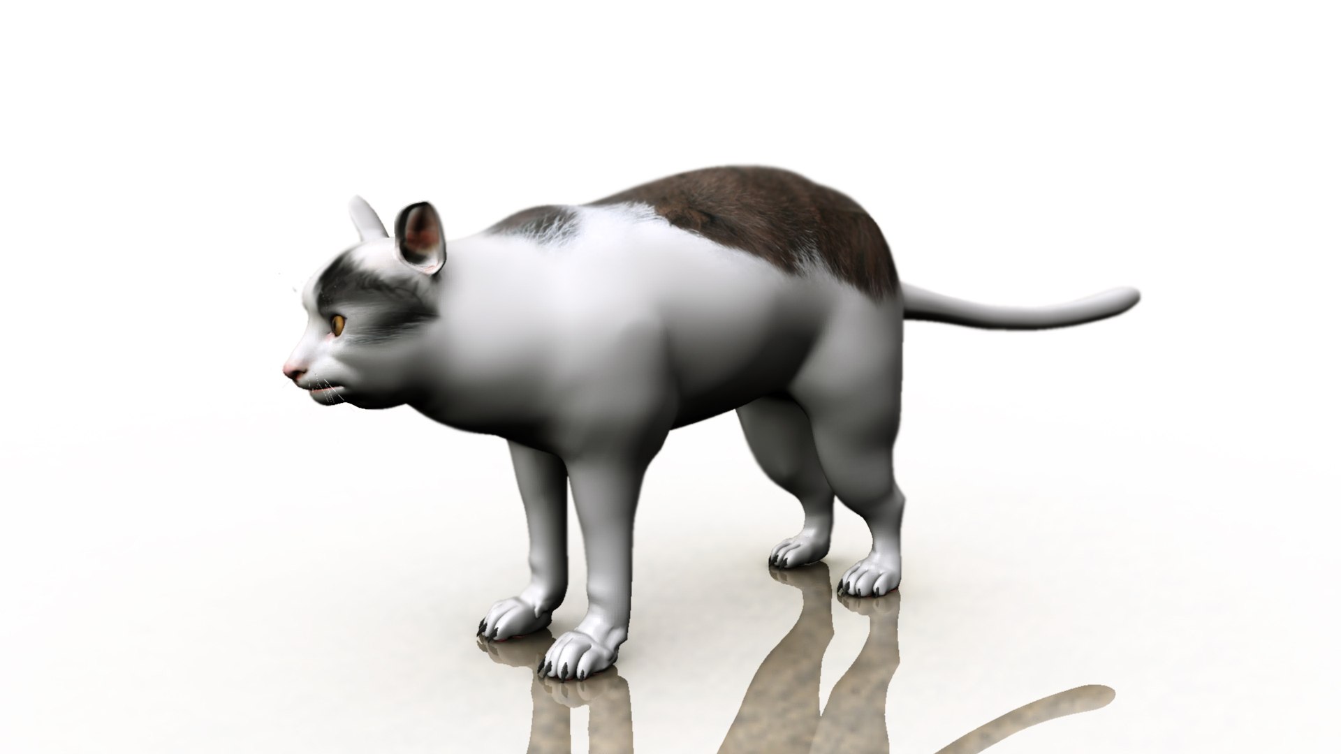 Cat Meme 3D Model - TurboSquid 1627563