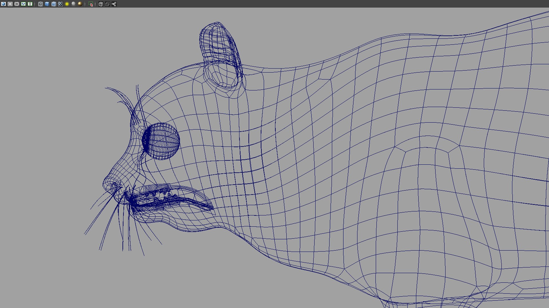 Cat Meme 3D Model - TurboSquid 1627563