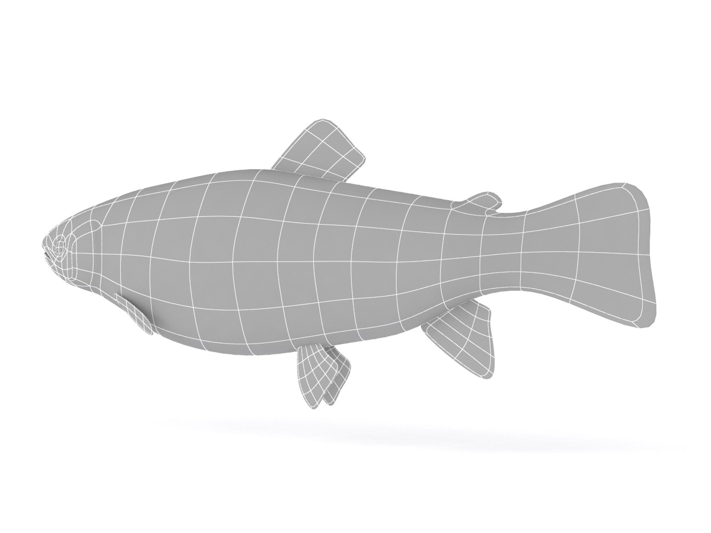 3D Fish Trout Model - TurboSquid 1641435