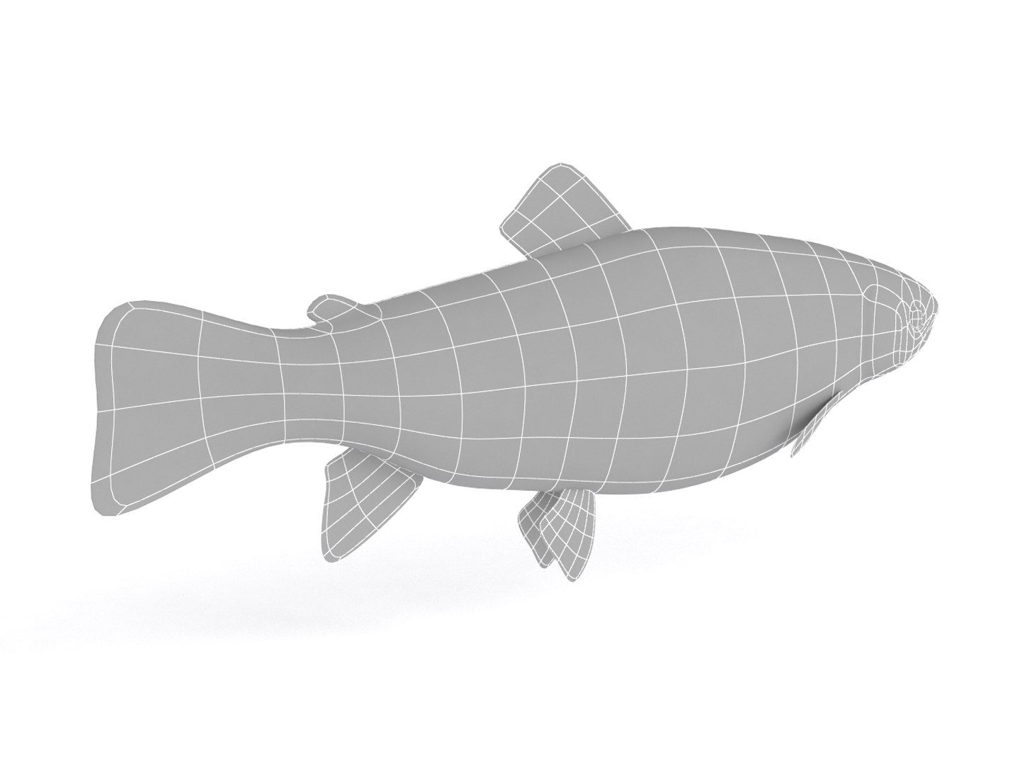 3D Fish Trout Model - TurboSquid 1641435