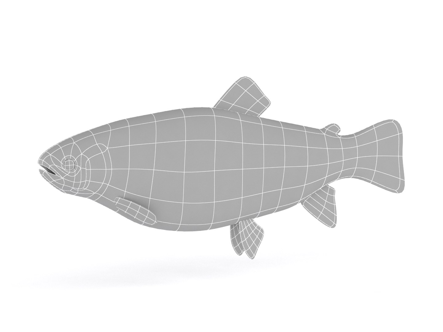 3D Fish Trout Model - TurboSquid 1641435