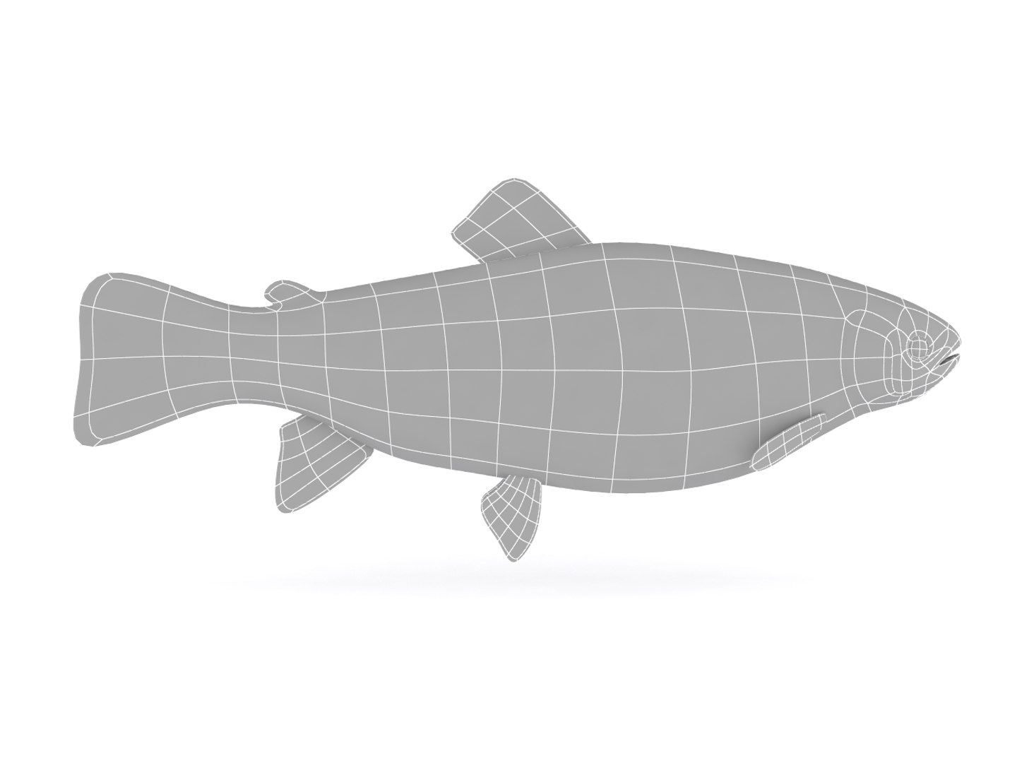 3D Fish Trout Model - TurboSquid 1641435