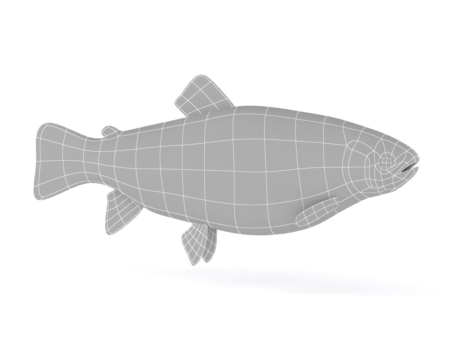 3D Fish Trout Model - TurboSquid 1641435