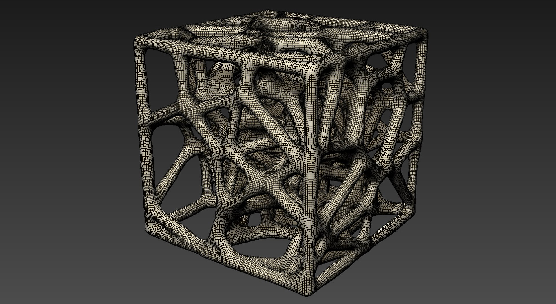 3D model sponge bone structure - TurboSquid 1563775