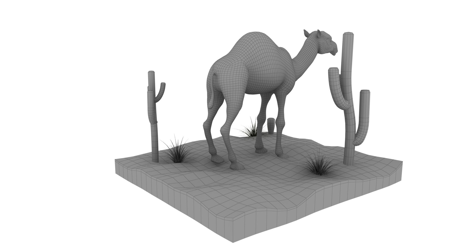 3D Camel Desert Cactus Sand - TurboSquid 1425390