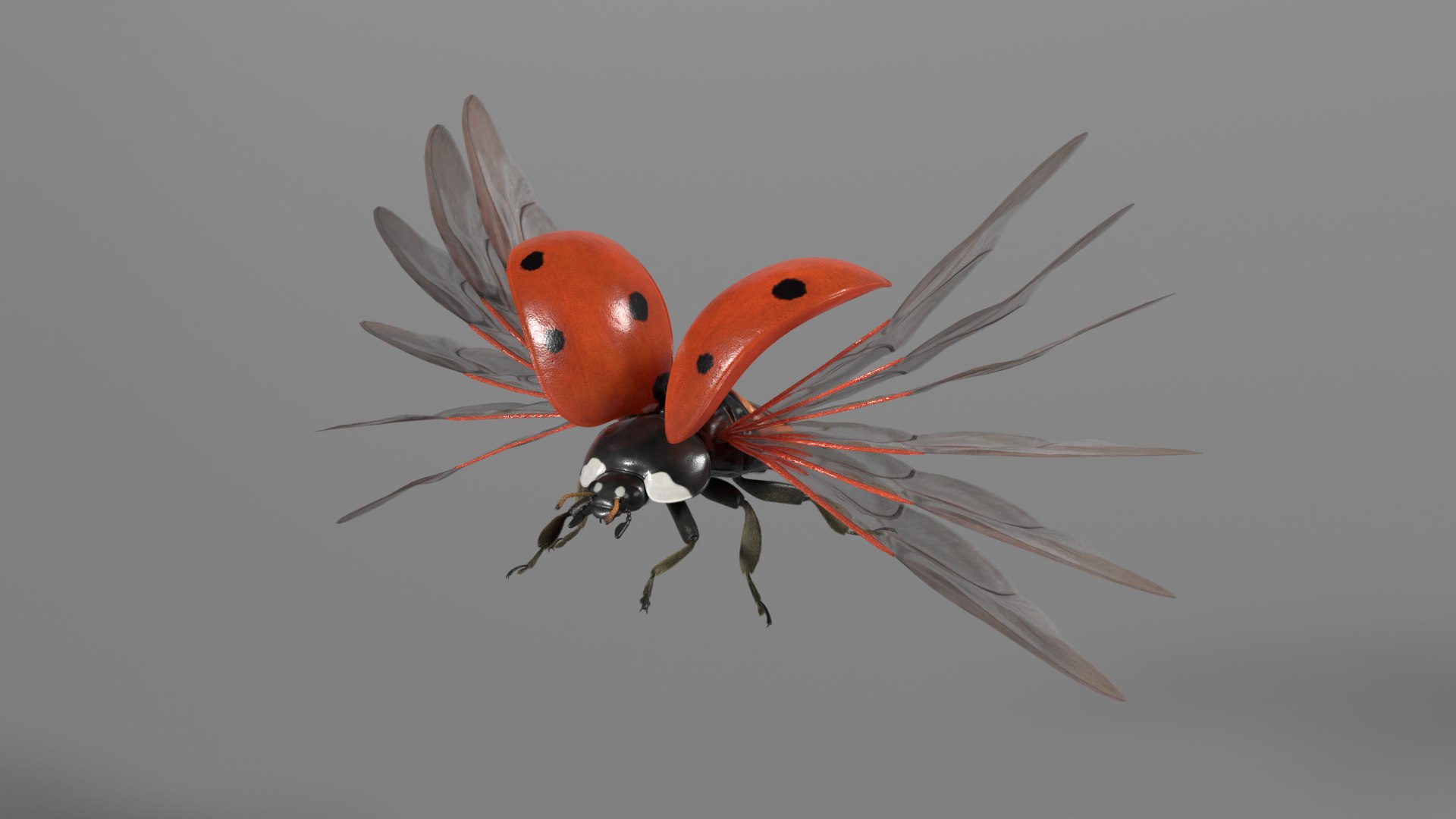 Ladybug Animations 3D Model - TurboSquid 1566256