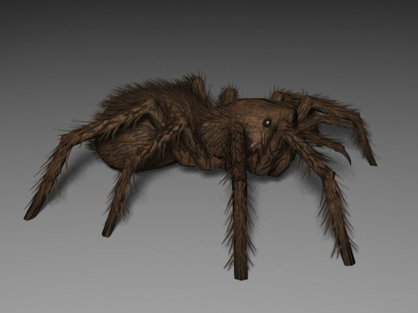 3d Model Of Monster Spider