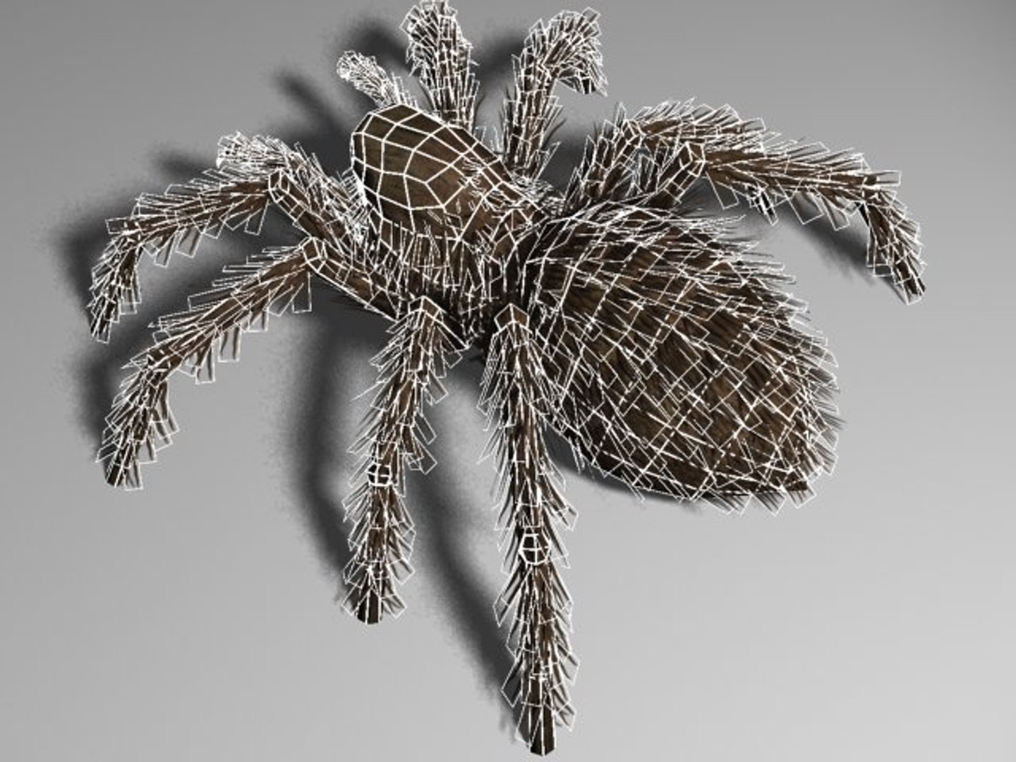 3d Model Of Monster Spider