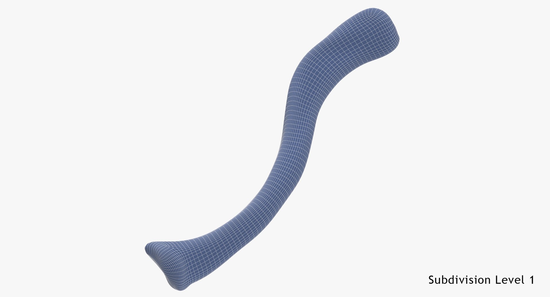 Human Clavicle Bone Collarbone 3D Model - TurboSquid 1545439