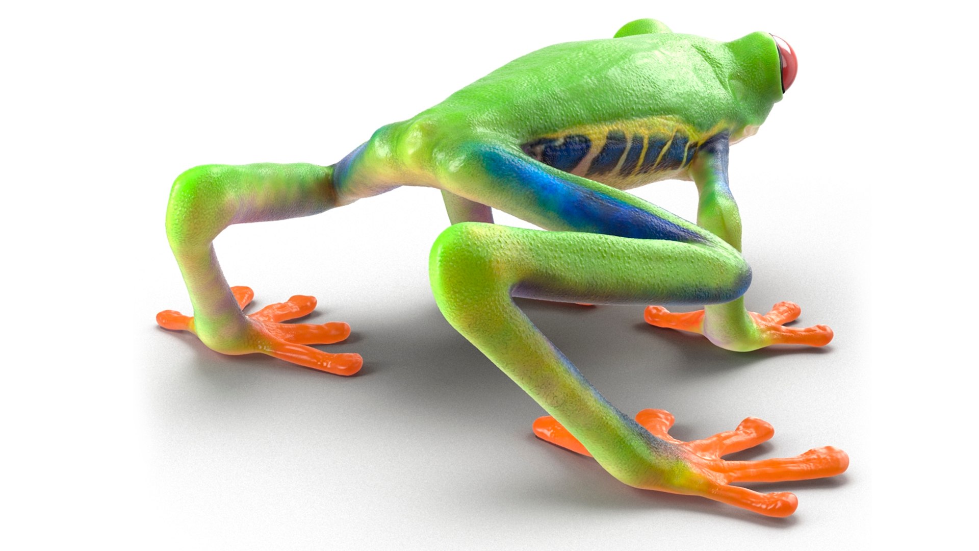3D Red Eyed Tree Frog Realistic Rigged - TurboSquid 2279726