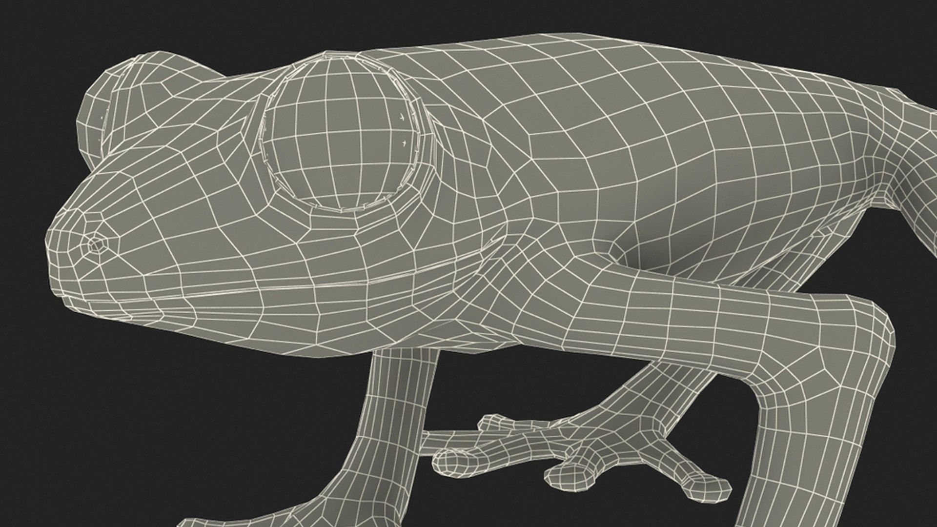 3D Red Eyed Tree Frog Realistic Rigged - TurboSquid 2279726