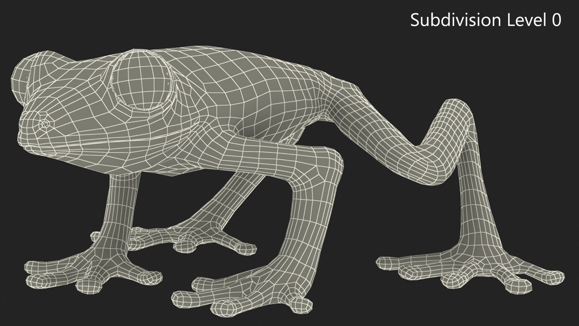 3D Red Eyed Tree Frog Realistic Rigged - TurboSquid 2279726