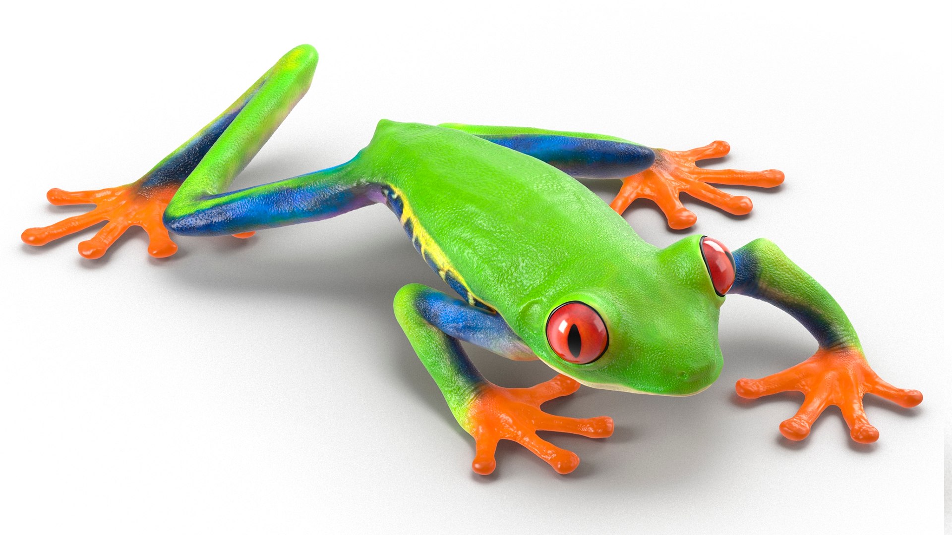 3D Red Eyed Tree Frog Realistic Rigged - TurboSquid 2279726