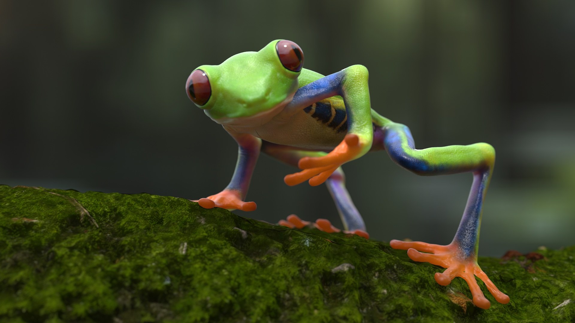 3D Red Eyed Tree Frog Realistic Rigged - TurboSquid 2279726