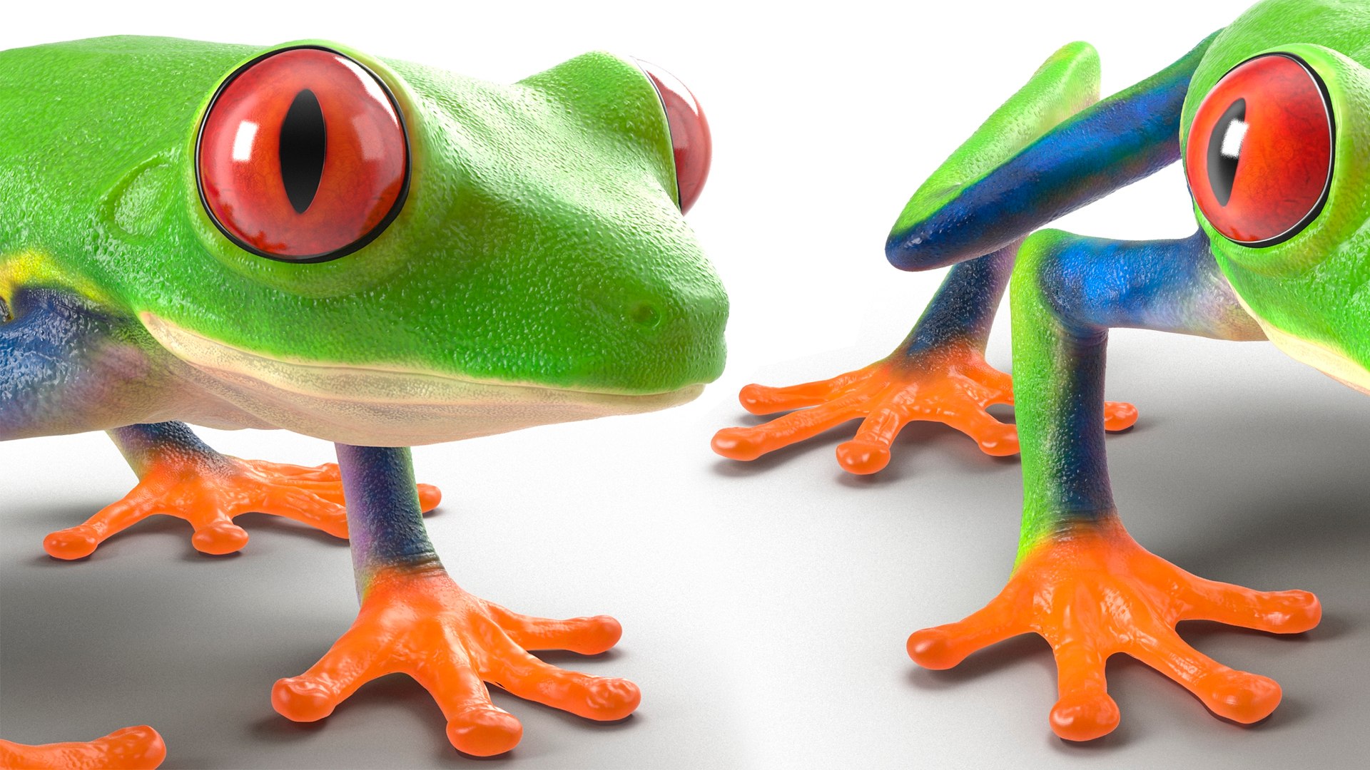 3D Red Eyed Tree Frog Realistic Rigged - TurboSquid 2279726