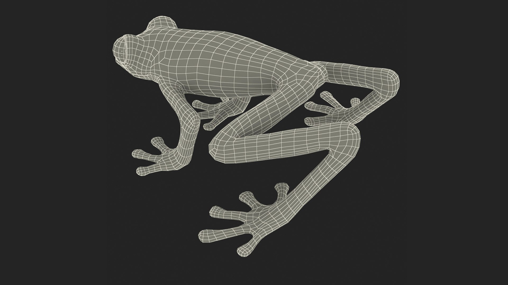 3D Red Eyed Tree Frog Realistic Rigged - TurboSquid 2279726