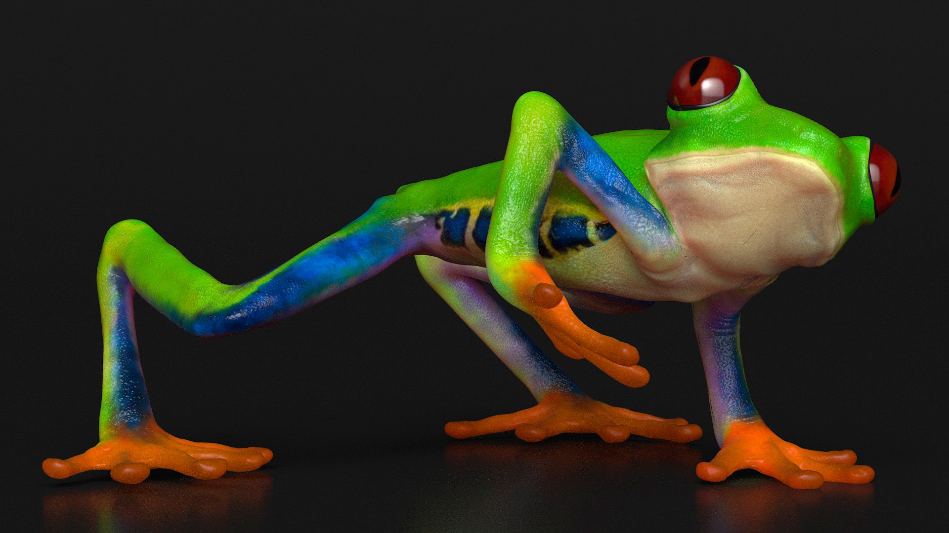 3D Red Eyed Tree Frog Realistic Rigged - TurboSquid 2279726