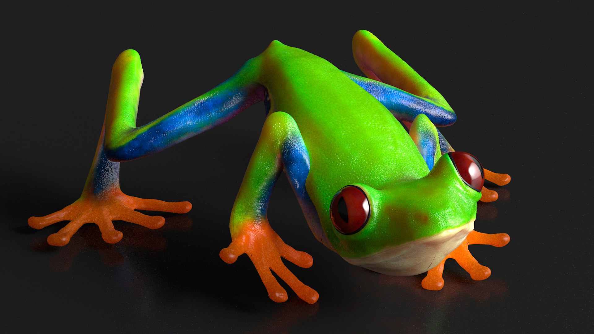 3D Red Eyed Tree Frog Realistic Rigged - TurboSquid 2279726