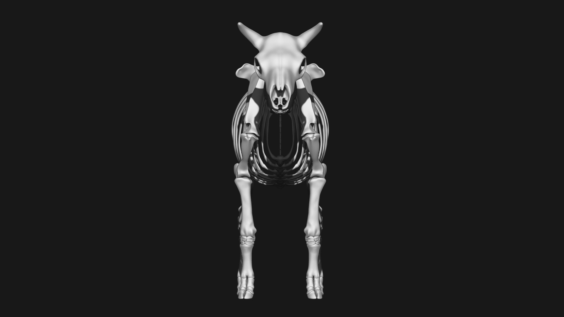Cow Skeleton 3D Model - TurboSquid 2049713