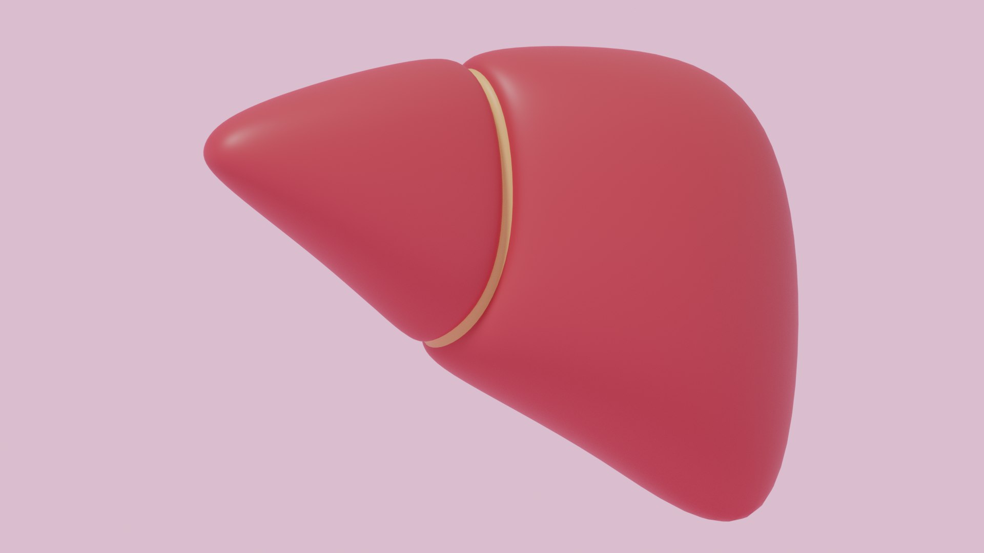 3D Cartoon Liver Stylized - TurboSquid 2515095