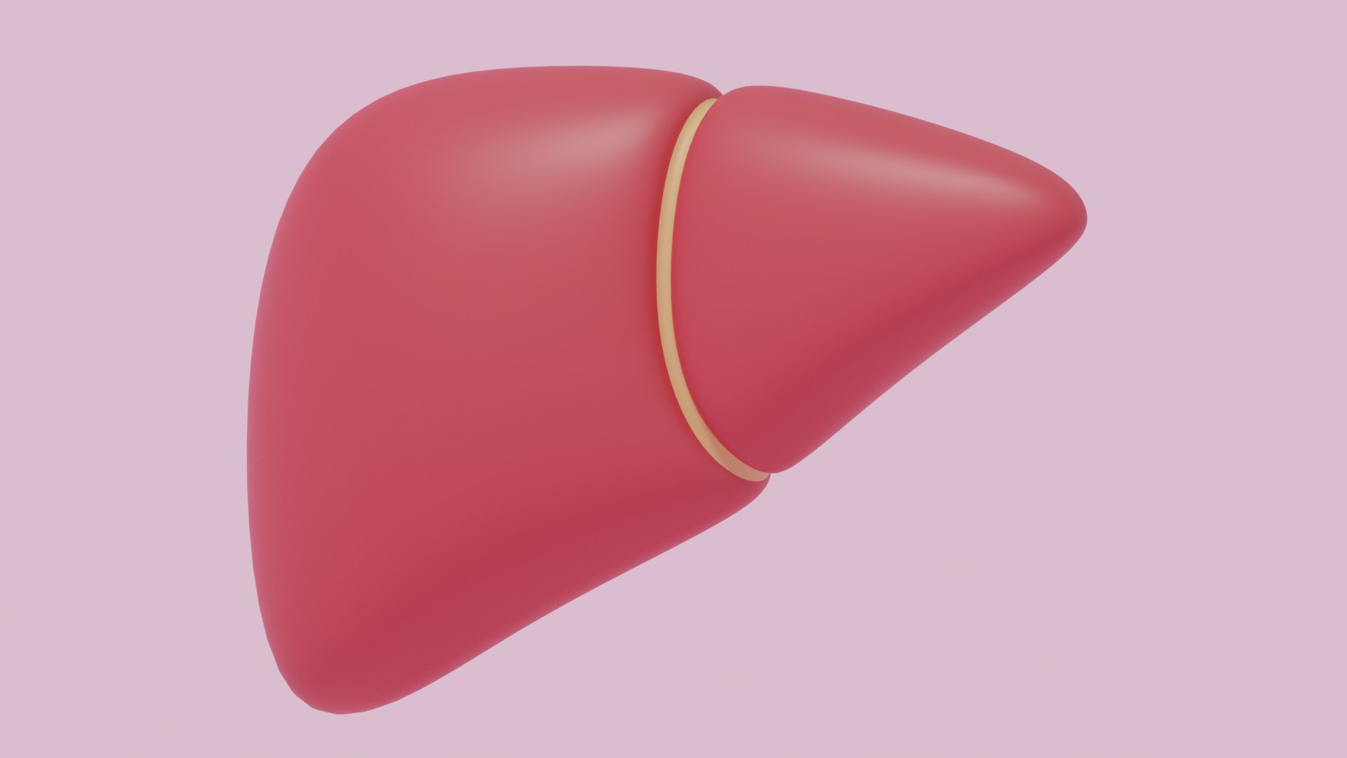 3D Cartoon Liver Stylized - TurboSquid 2515095