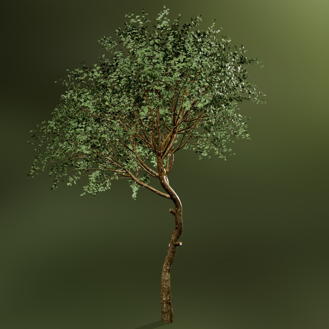 3D Orange Fruit Tree Low Poly 18 Different Tree 3D Models - TurboSquid ...