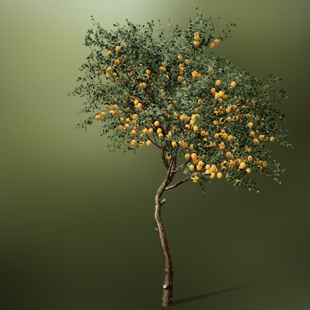 3D Orange Fruit Tree Low Poly 18 Different Tree 3D Models - TurboSquid ...