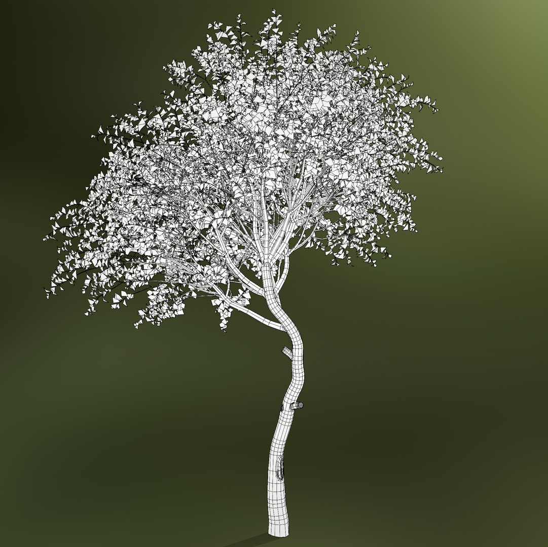 3D Orange Fruit Tree Low Poly 18 Different Tree 3D Models - TurboSquid ...