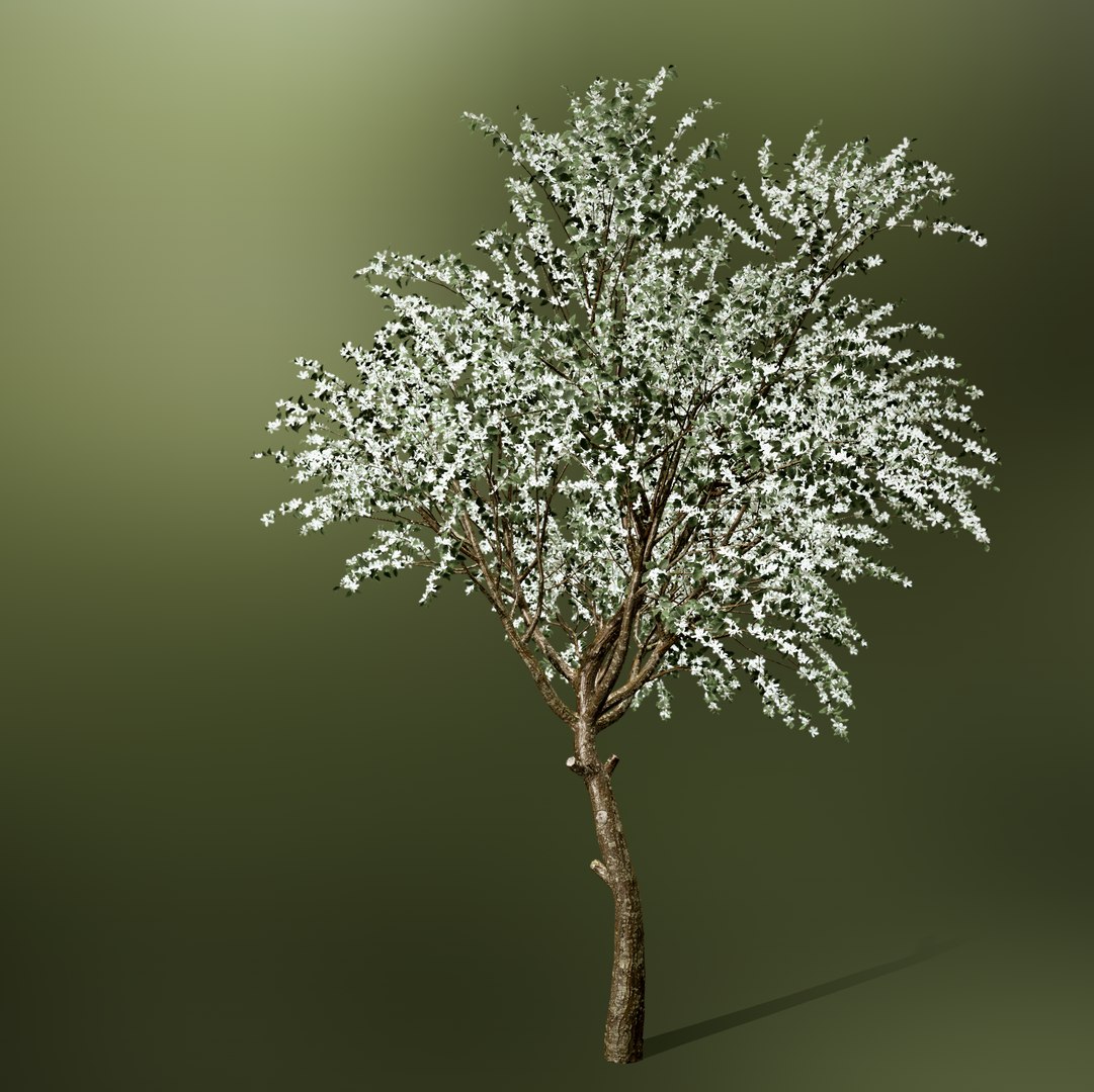 3D Orange Fruit Tree Low Poly 18 Different Tree 3D Models - TurboSquid ...