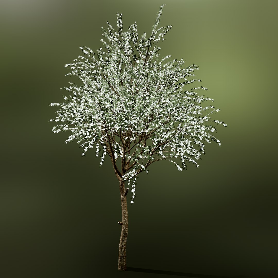 3D Orange Fruit Tree Low Poly 18 Different Tree 3D Models - TurboSquid ...