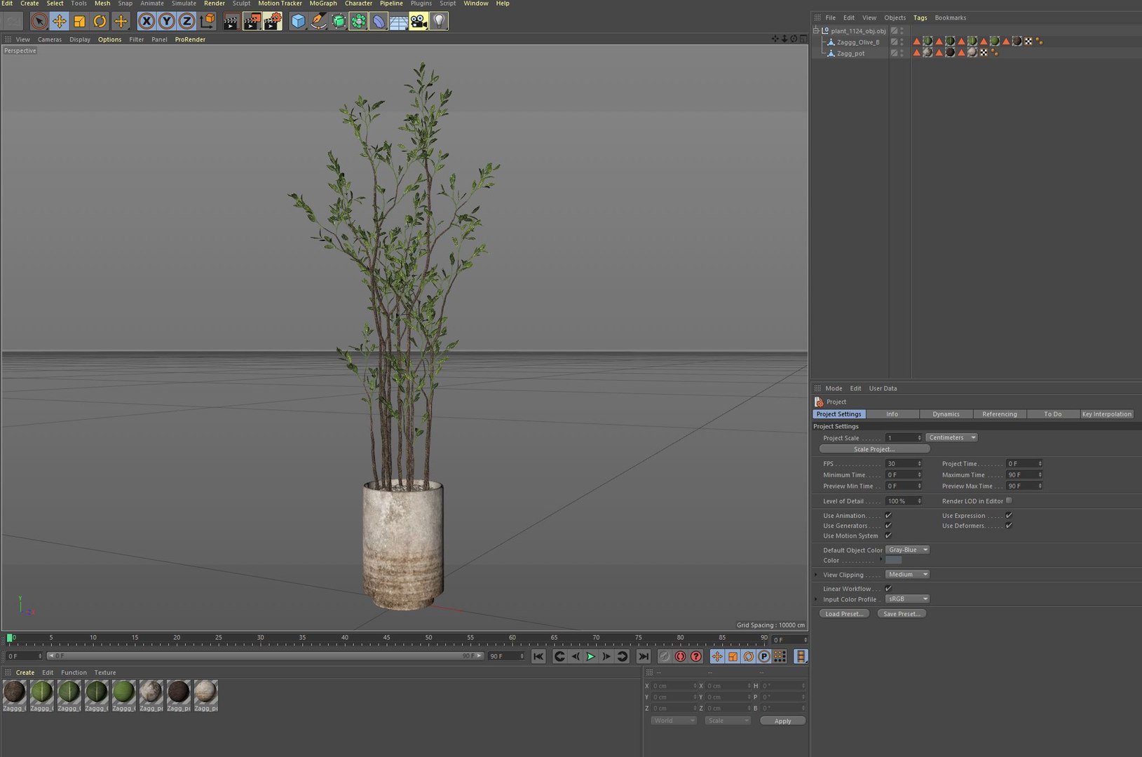 Plants Collection 1124 3D Model - TurboSquid 2287546