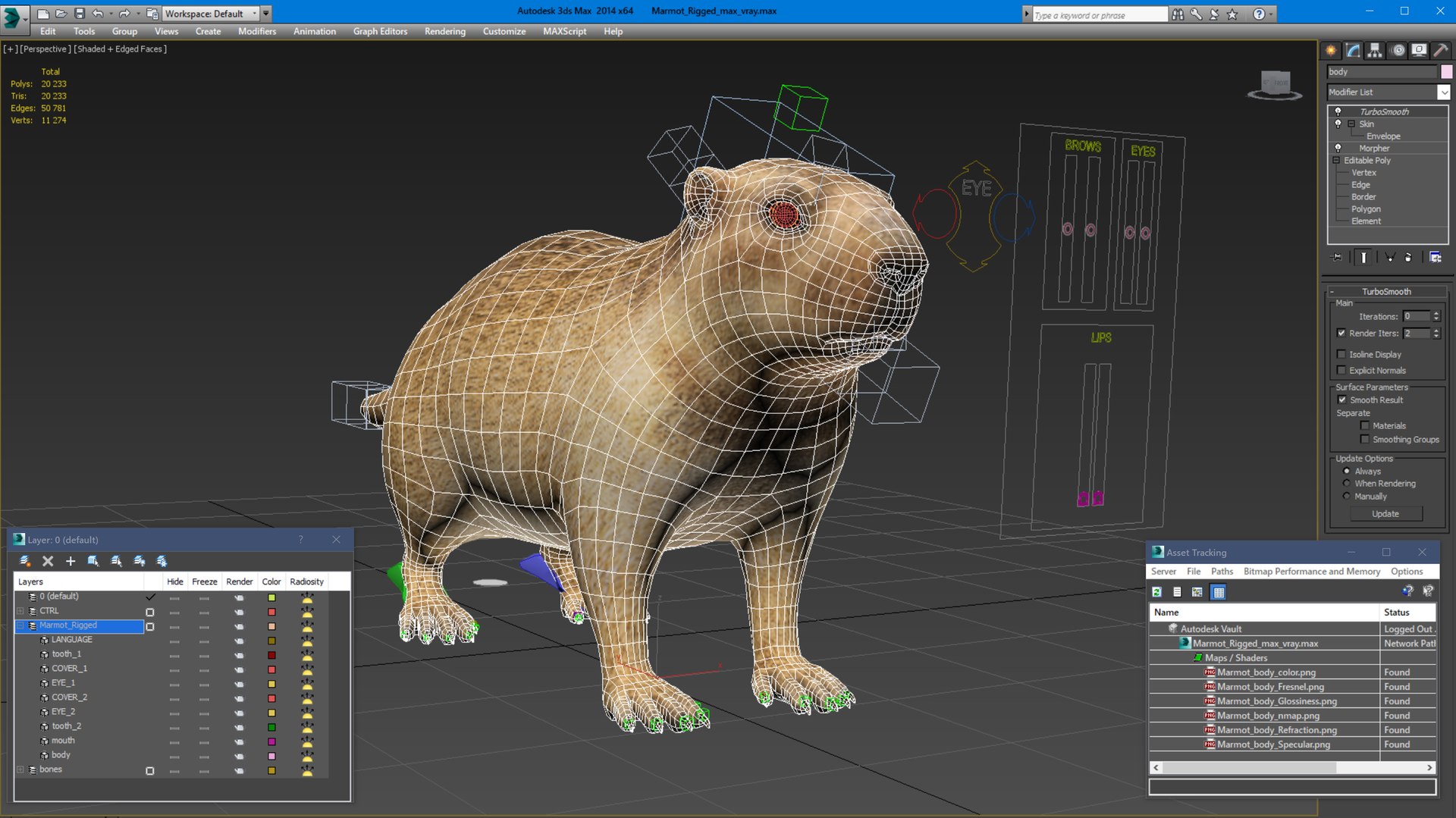 Marmot Rigged 3D Model - TurboSquid 1965691