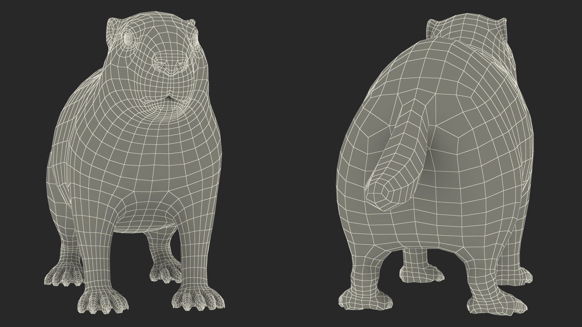 Marmot Rigged 3D Model - TurboSquid 1965691