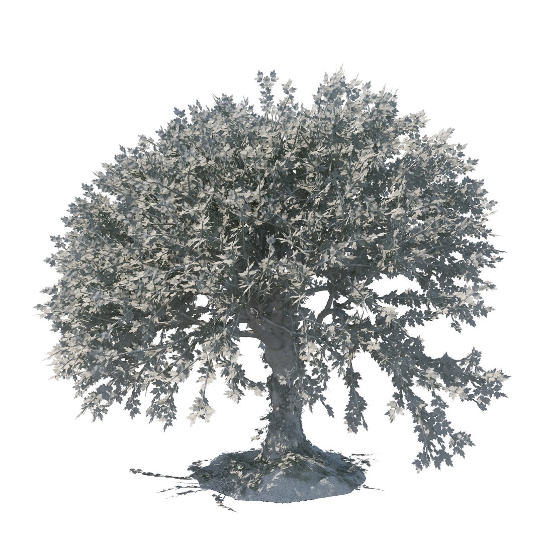 Realistic Tree 3d Model