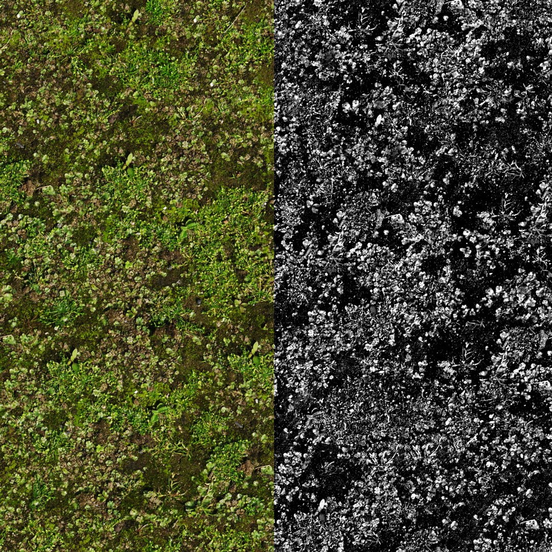 Realistic Tree 3d Model