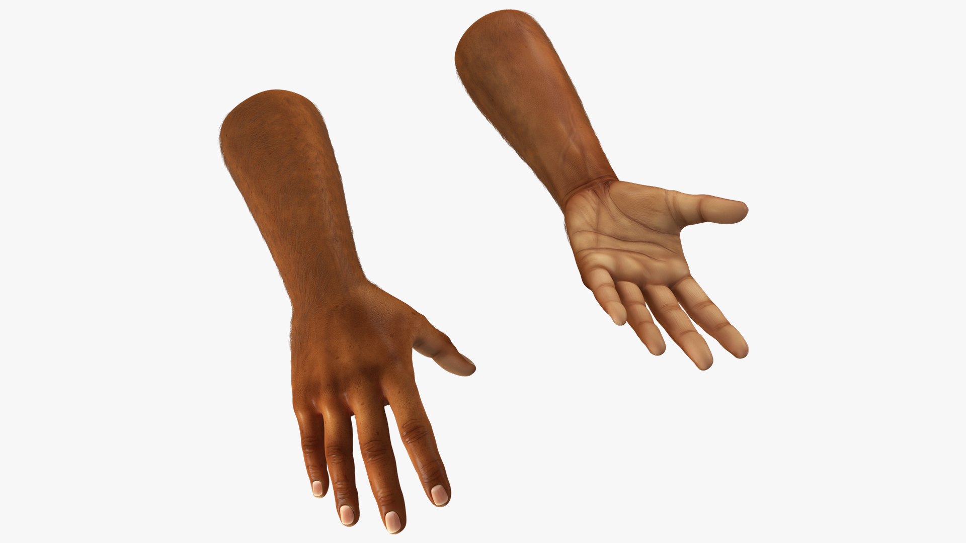 3D Realistic Human Arms And Hands Fur - TurboSquid 2387384