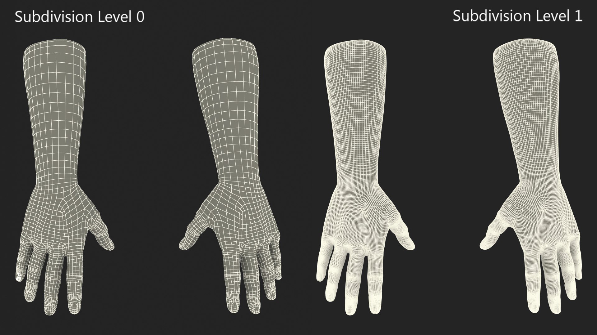 3D Realistic Human Arms And Hands Fur - TurboSquid 2387384