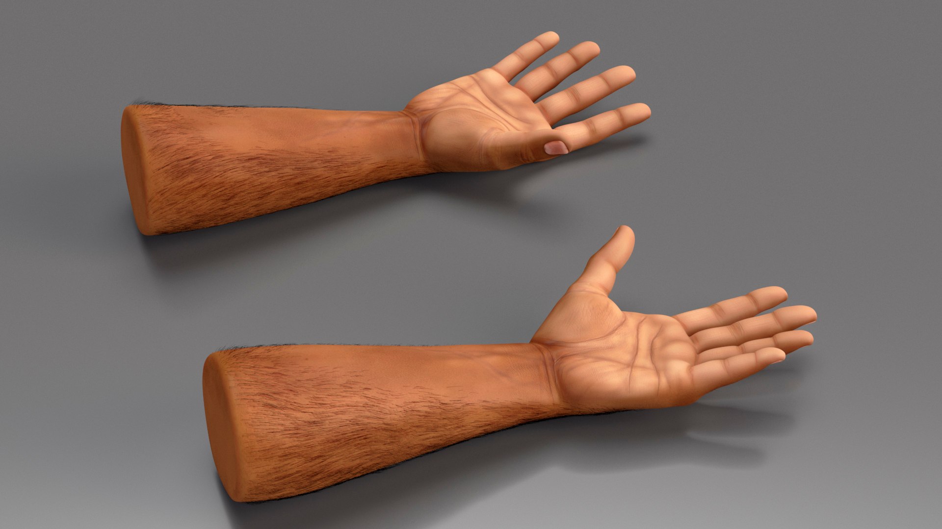 3D Realistic Human Arms And Hands Fur - TurboSquid 2387384