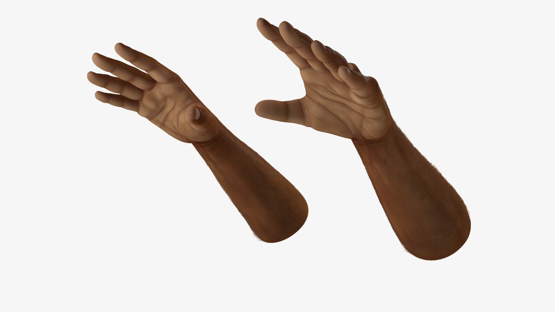 3D Realistic Human Arms And Hands Fur - TurboSquid 2387384