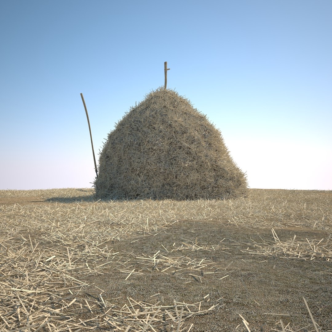 Hay Stack Landscape 3d Model