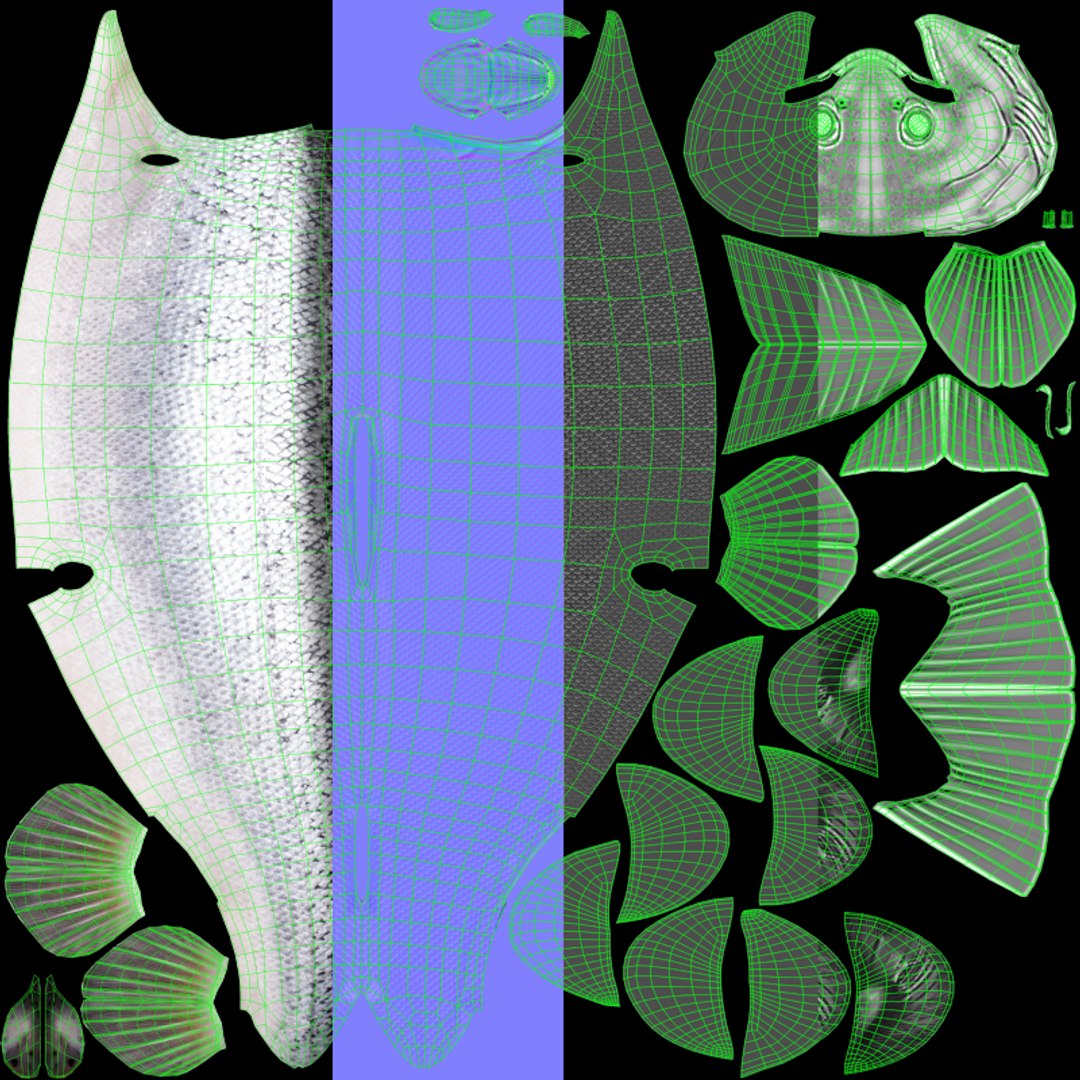 3D Salmon Animated - TurboSquid 2358732