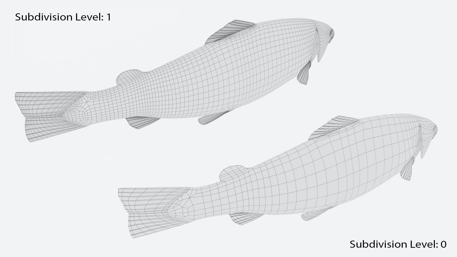 3D Salmon Animated - TurboSquid 2358732